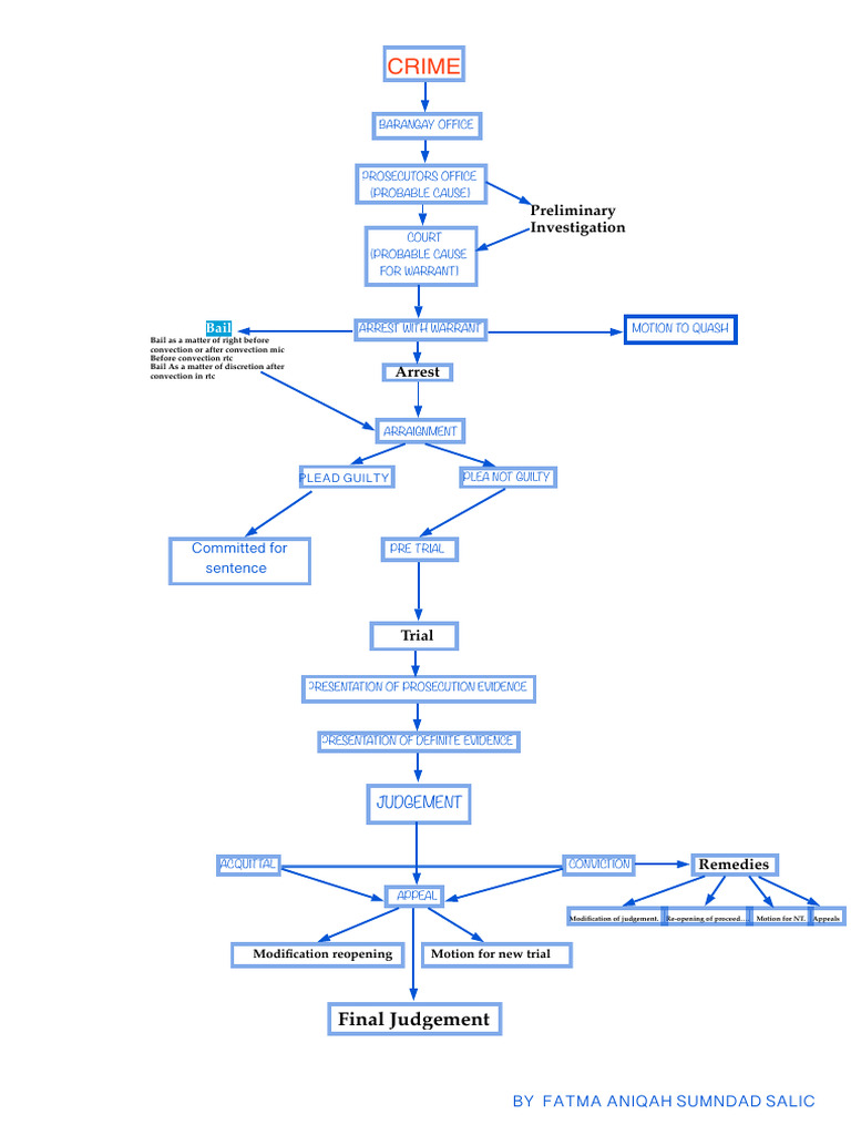 CRIMPRO MINDMAP-final | PDF