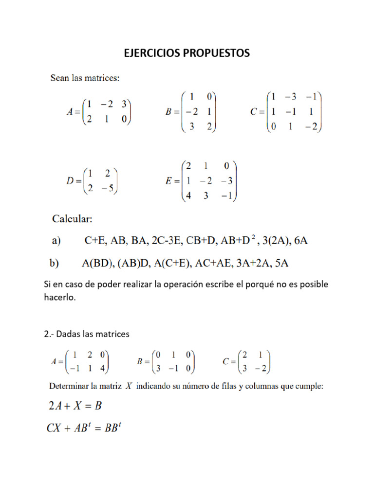 Ejercicios de Operaciones con Matrices | PDF