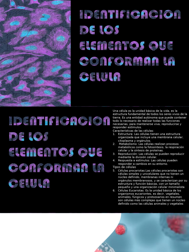 Celulas Final | PDF | Biología Celular) | Lisosoma