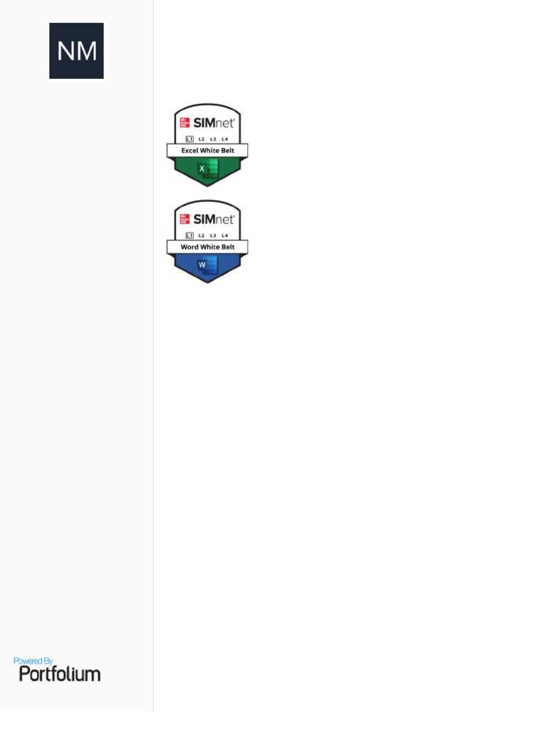 Noah Miller Portfolium | PDF