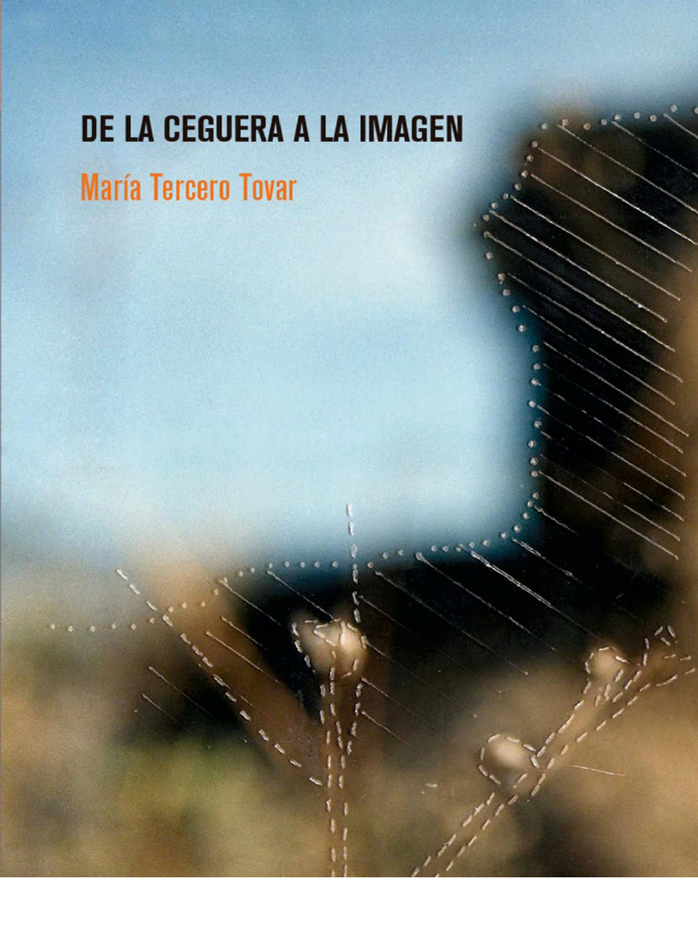 De La Ceguera A La Imagen | PDF