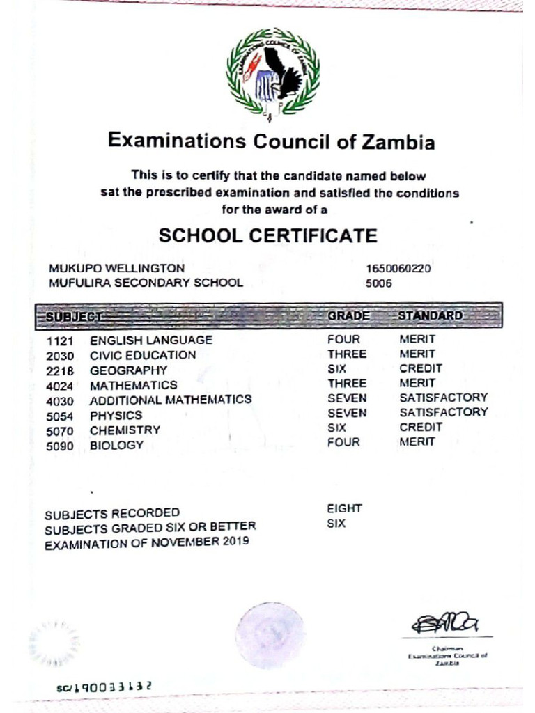 Exam Certificate PDF | PDF