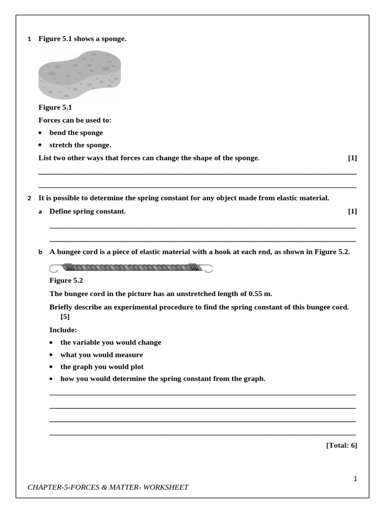 Forces and Elasticity Worksheet | PDF | Pressure | Force