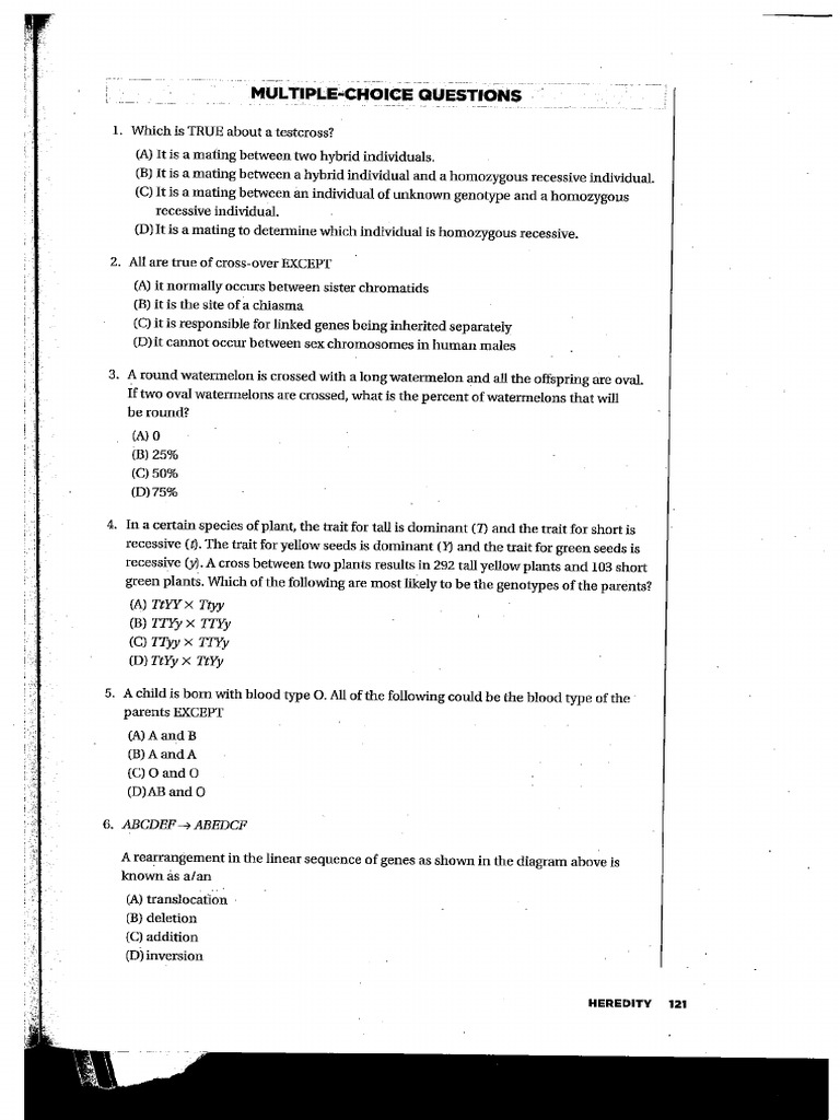 AP Biology Inheritance Qs | PDF