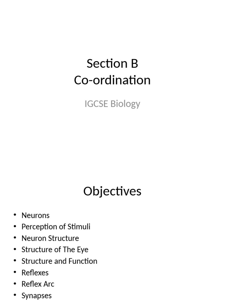 IGCSE Biology: Nervous System Overview | PDF