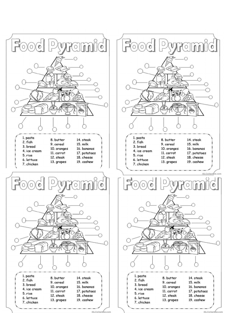 Food Pyramid School Junior | PDF