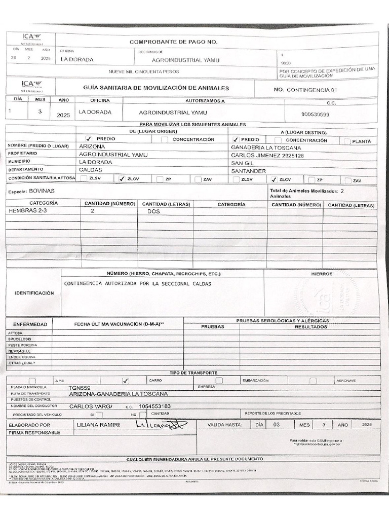 Licencia 2 Novillas | PDF