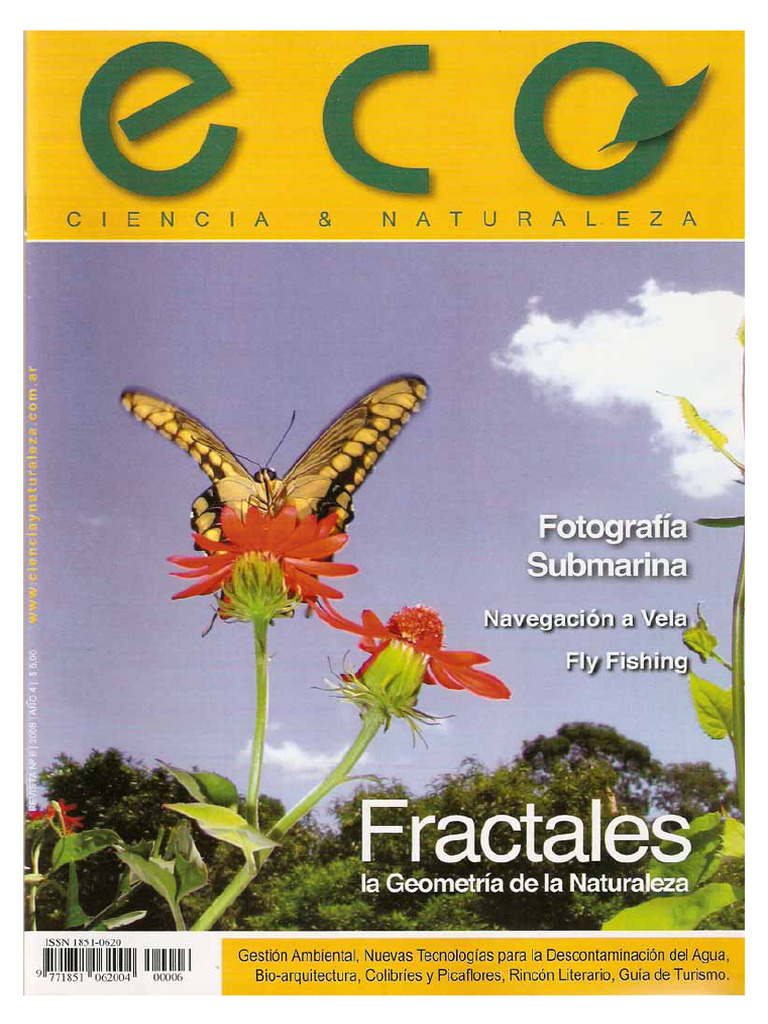 Art1 ECO 6 | PDF