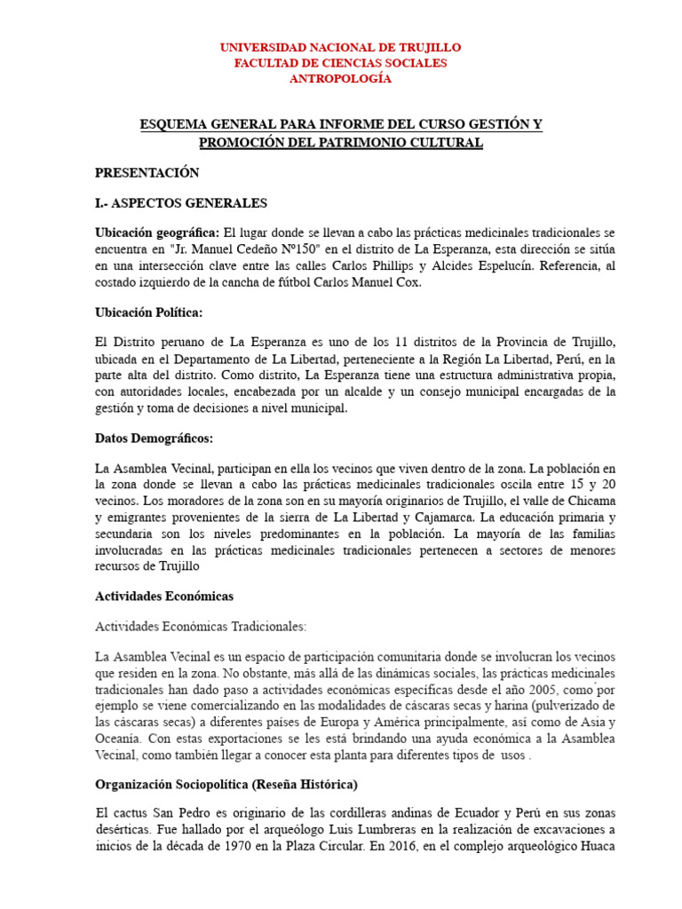 ESQUEMA GENERAL PARA INFORME PATRIMONIO | PDF | Patrimonio cultural | Etnografía