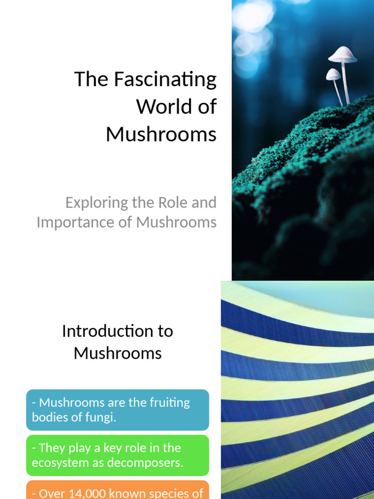 Mushrooms and Their Presence | PDF
