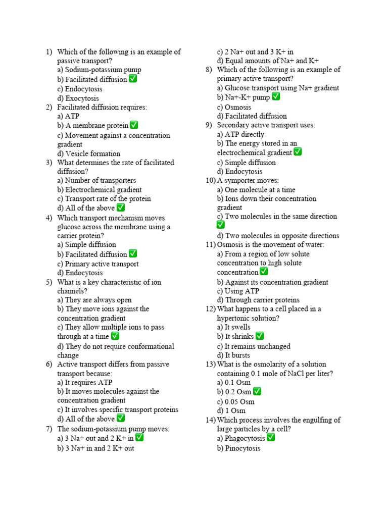 Human Phys Unit 2 Study | PDF | Chemical Synapse | Synapse
