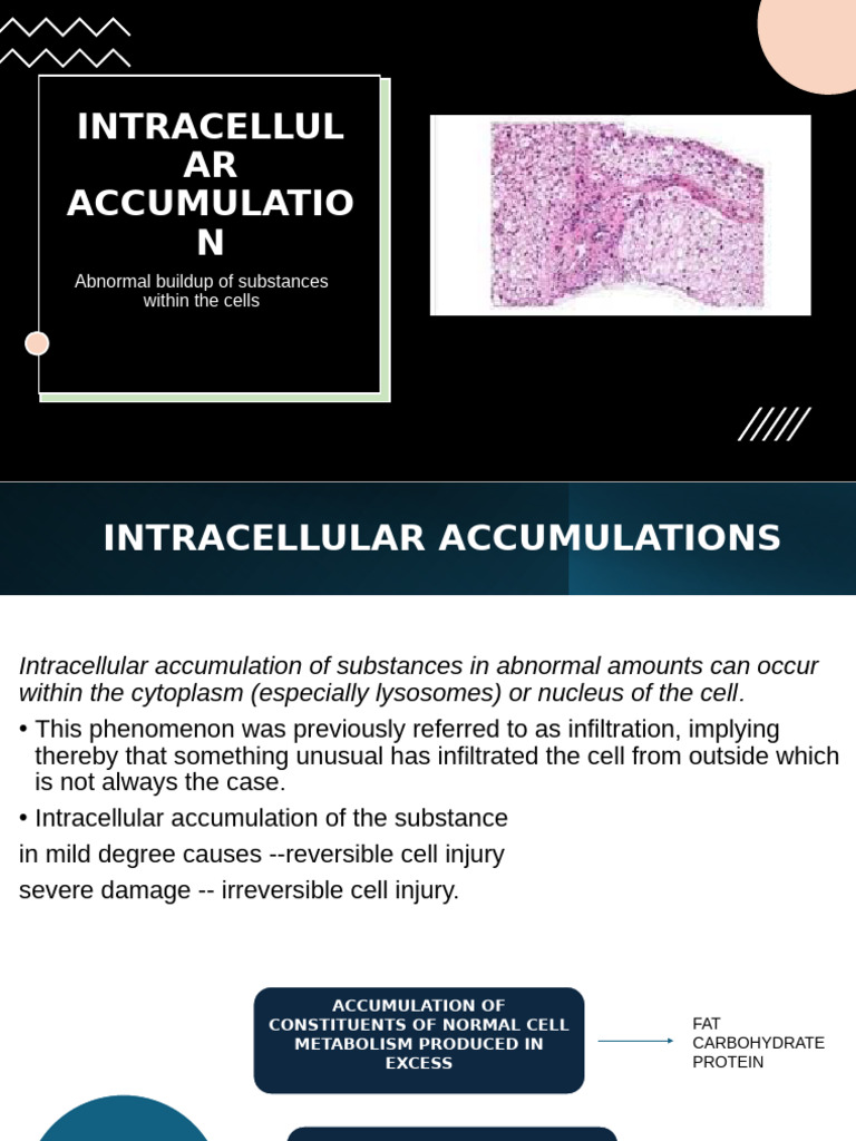 Intracellular Accumulations 2 | PDF | Lipoprotein | Fatty Acid