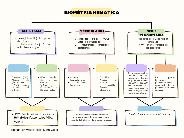 Biometría Hemática y Funciones Sanguíneas | PDF | Sangre | Glóbulo rojo