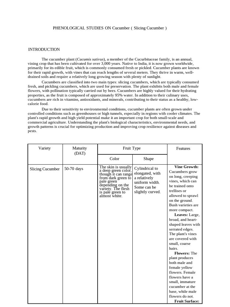 PHENOLOGICAL STUDY - RUGA MARK DANIEL A | PDF | Cucumber | Horticulture