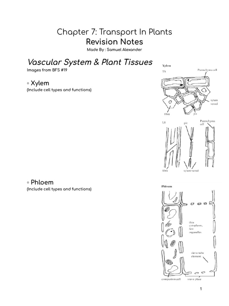 Chapter 7 Transport in Plants Revision Notes | PDF