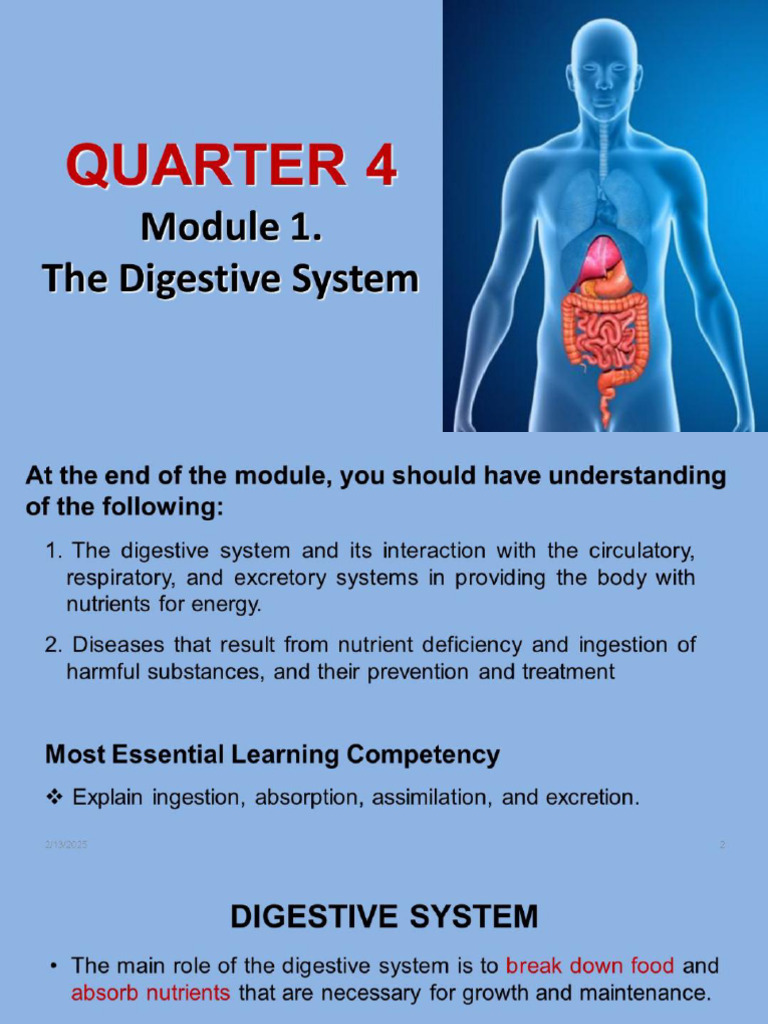 Science Q4 M1 | PDF