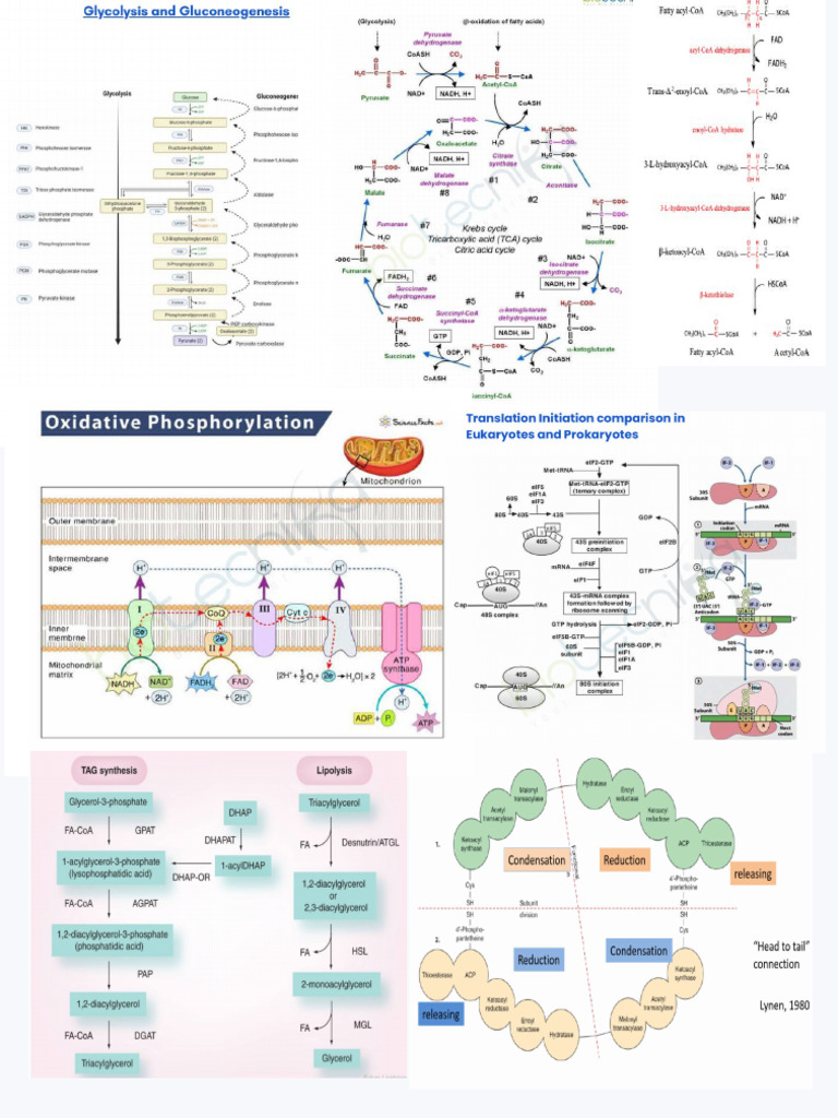 Poster SBCI 24 Final | PDF