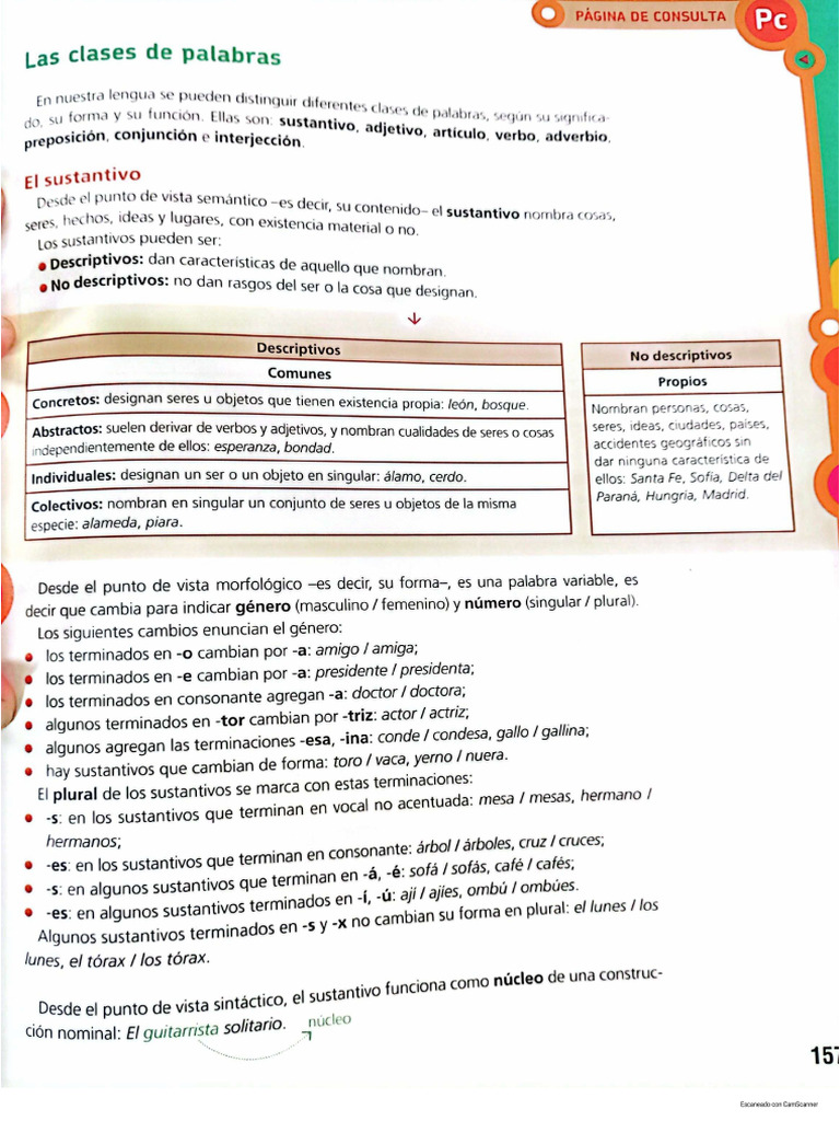 Sustantivo, Adjetivo, Verbo y Adverbio | PDF