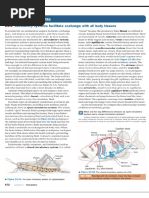 Fish Circulation: Gill and Systemic Flow | PDF | Heart | Artery
