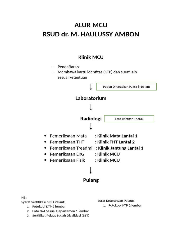 ALUR MCU RSUD | PDF