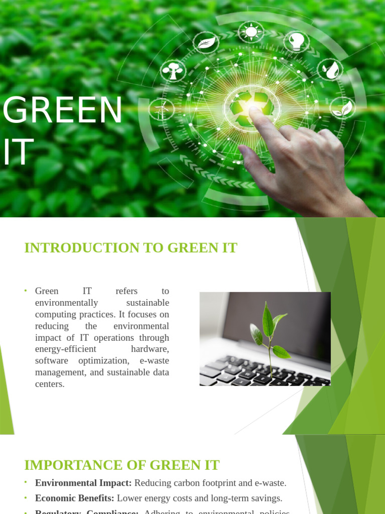 ROLL NO 1-5 (3) Presentation | PDF | Efficient Energy Use | Sustainability