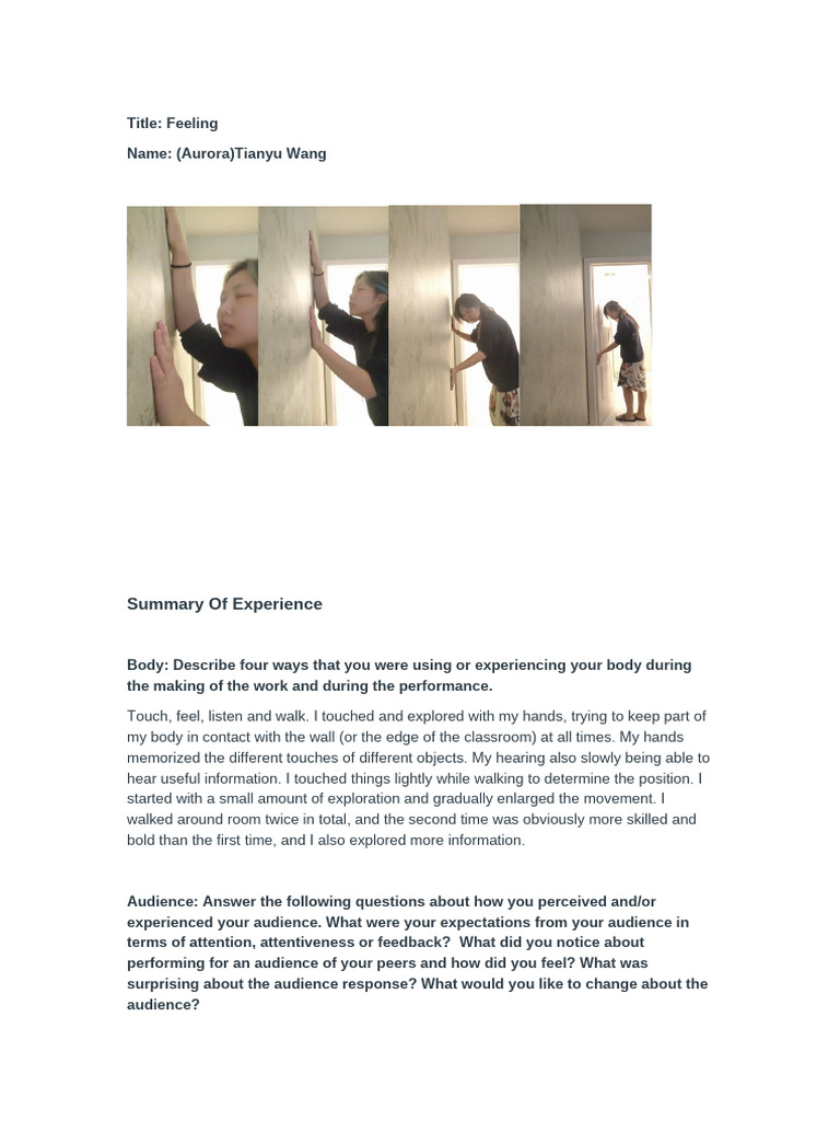 Feeling Experience Summary | PDF
