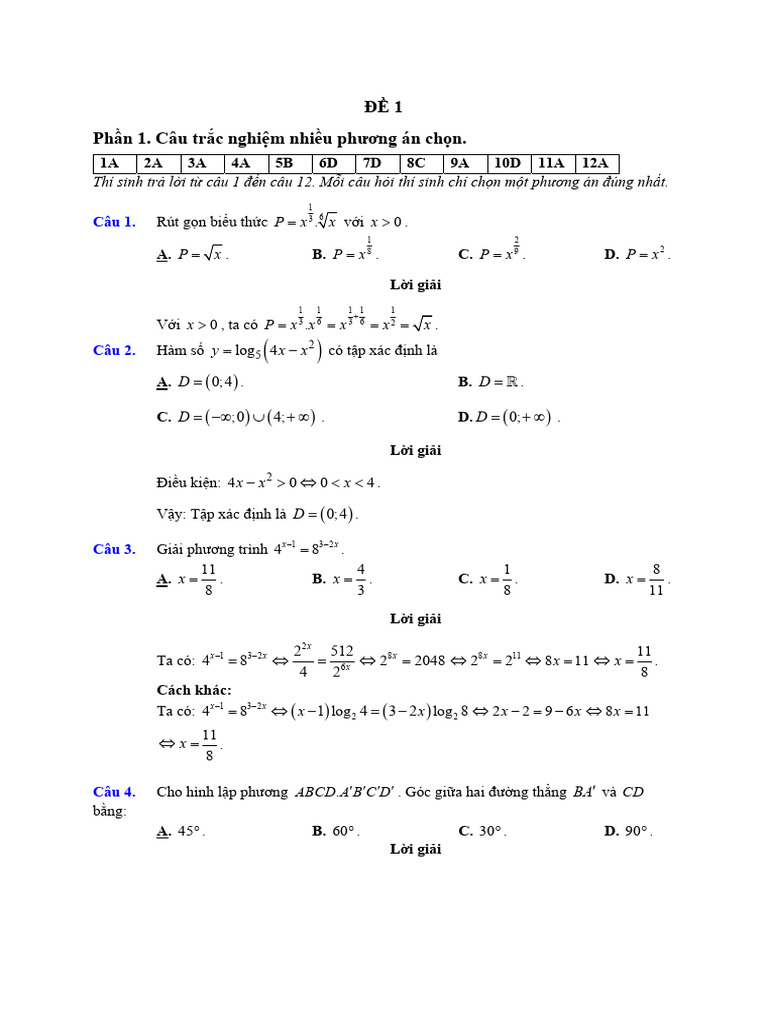 De Thi CK II Toan 11 Da | PDF