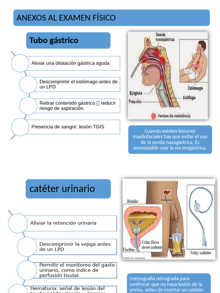 EXPO ATLS Trauma Abdominal | PDF | Pelvis | Abdomen
