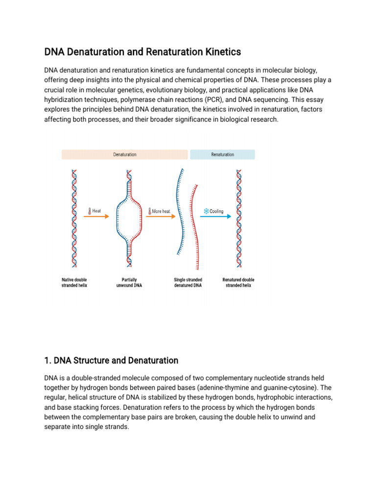 DNA Denaturation and Renaturation Kinetics | PDF | Denaturation ...