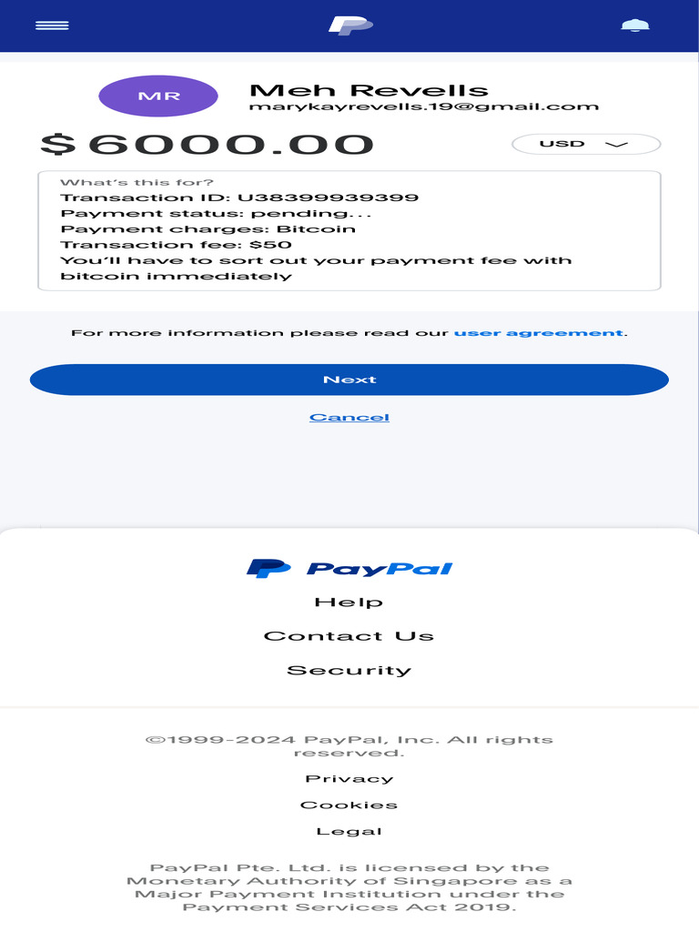 Pending Bitcoin Payment Details | PDF