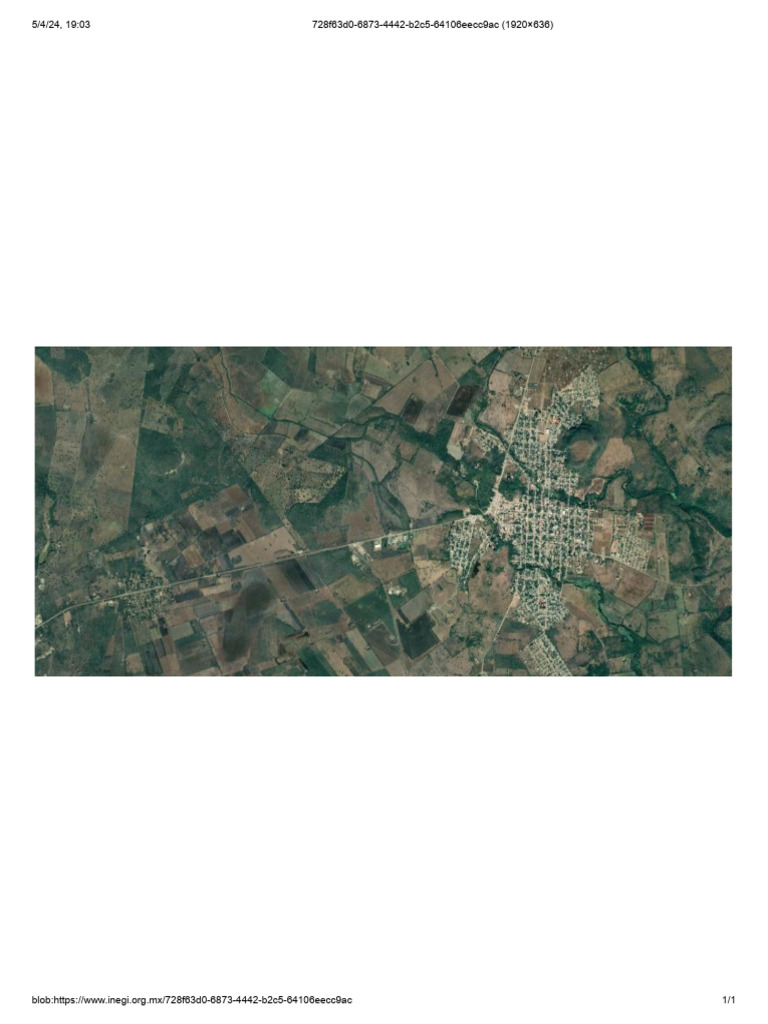 Mapa satelital de Aldama | PDF