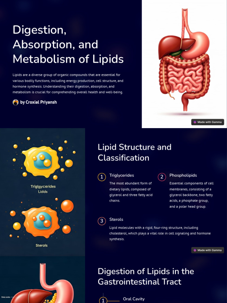Digestion Absorption and Metabolism of Lipids | PDF | Lipid | Digestion