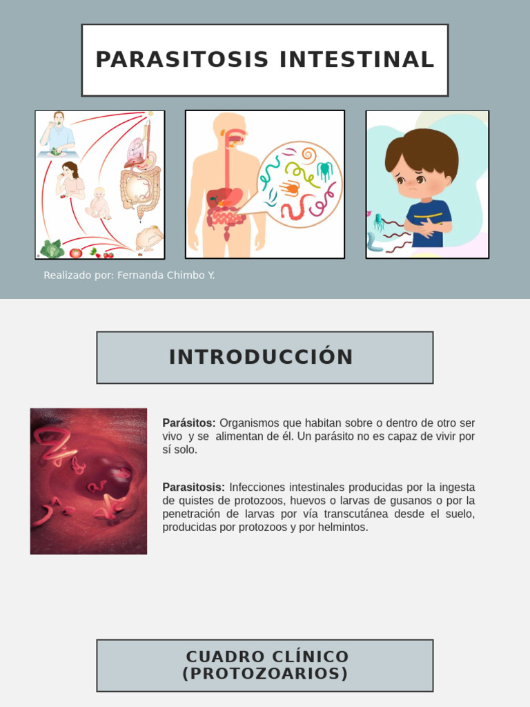 Guía sobre Parasitosis Intestinal | PDF | Diarrea | Enfermedades y ...