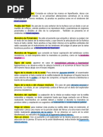 Signo de Hoffman y su significado clínico | PDF | Síndrome del túnel ...