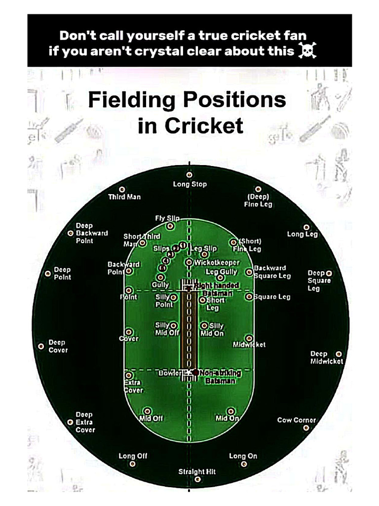 Cricket Notes | PDF