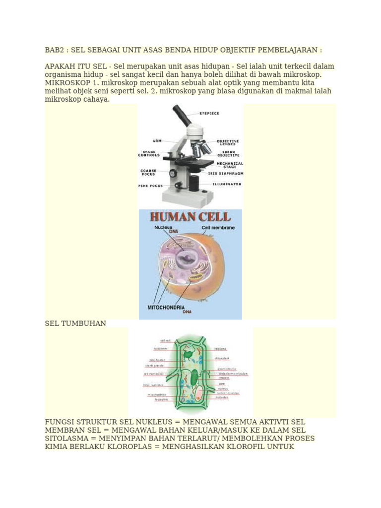 Sains Tingkatan 1 BAB 2 | PDF