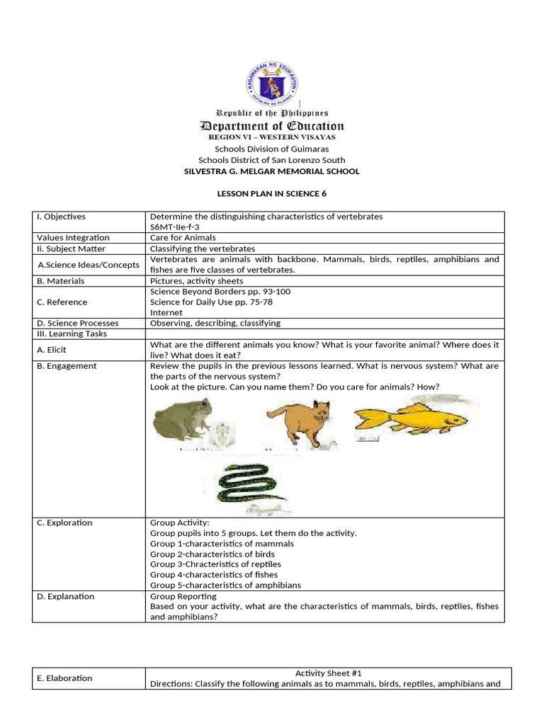 Lesson Plan Science 6 2ND QUARTER | PDF | Vertebrates | Amphibian