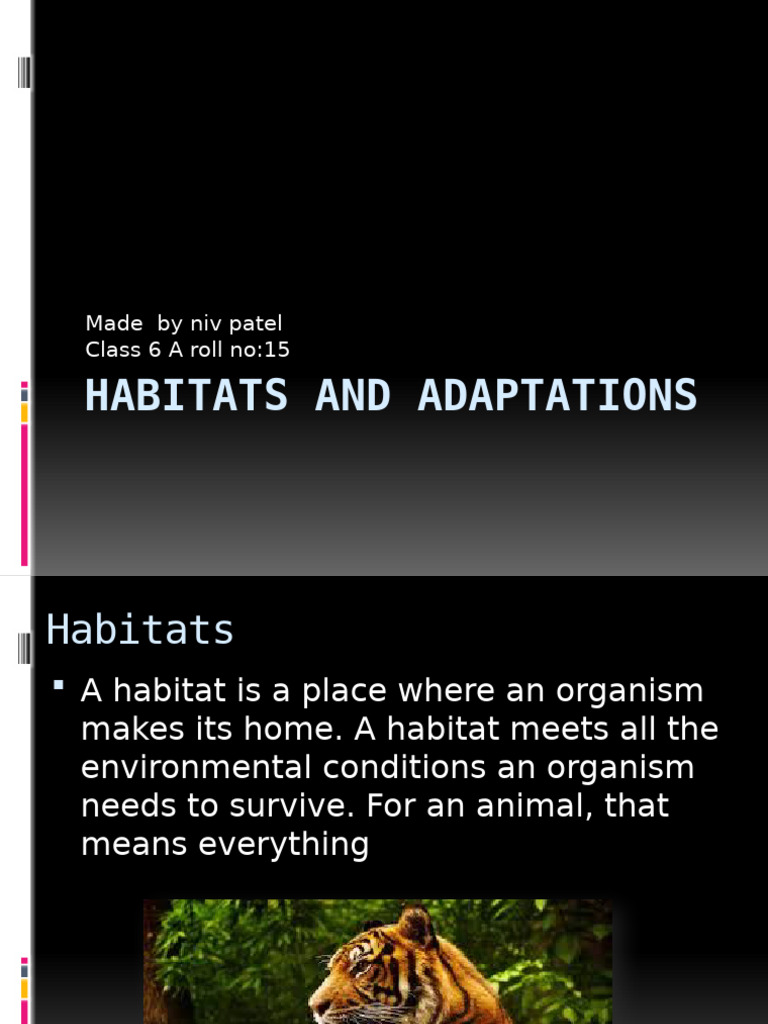 Habitats and Adaptations Science Project Copy | PDF | Habitat | Leaf