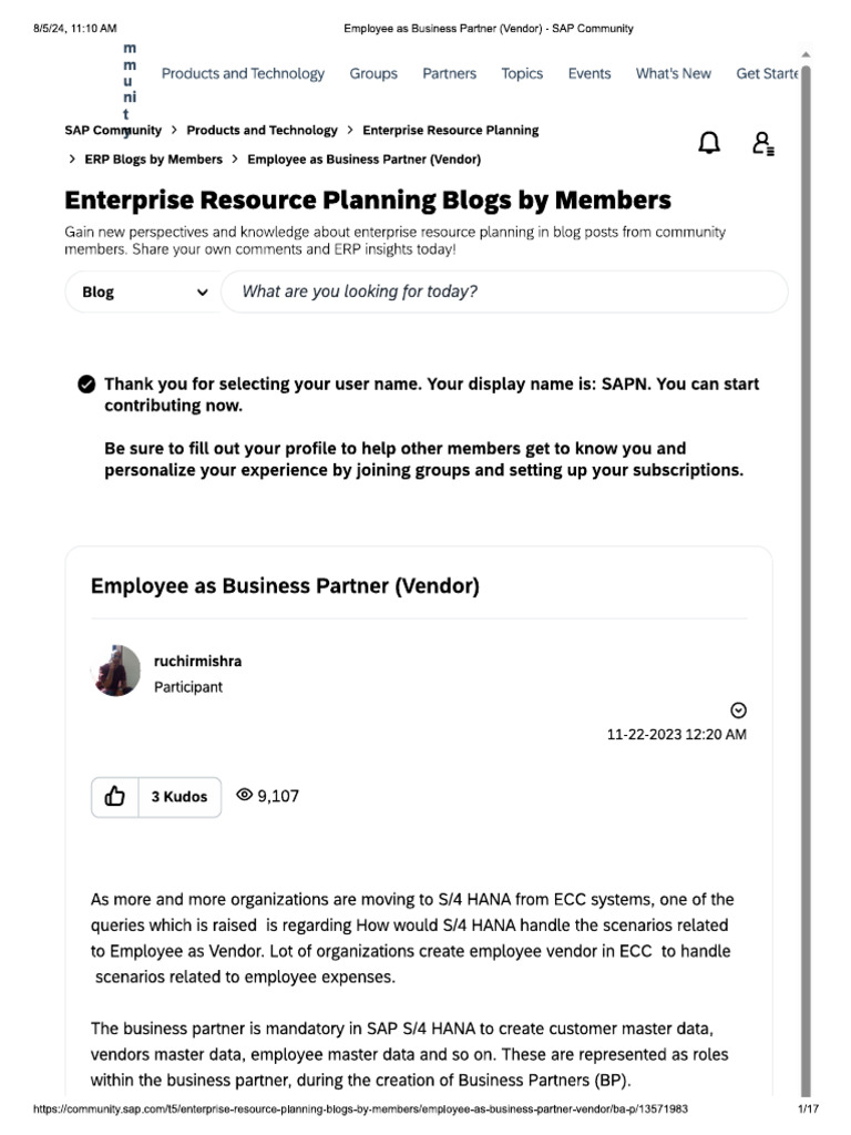 Employee As Vendor Business Partner | PDF