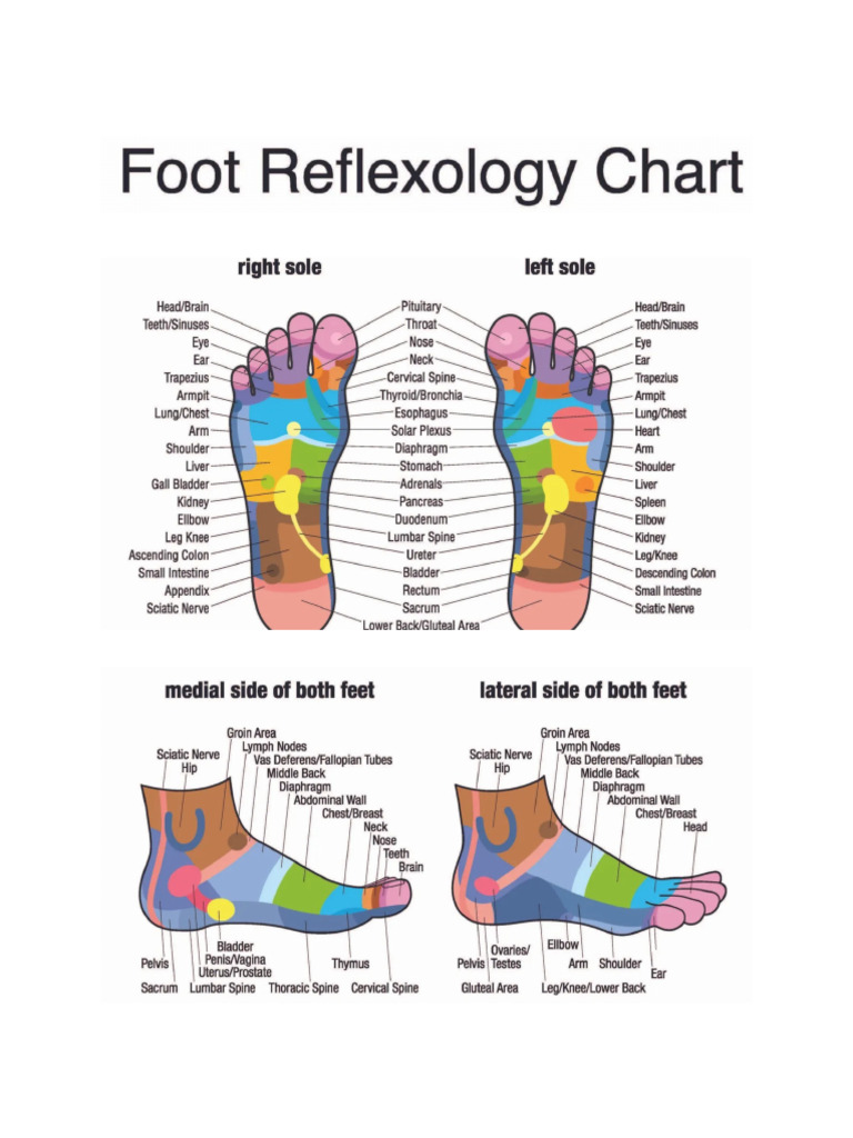 Reflexology Chart | PDF