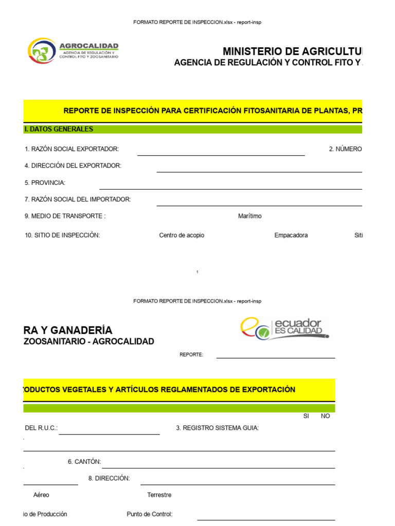 Formato Reporte de Inspeccion | PDF