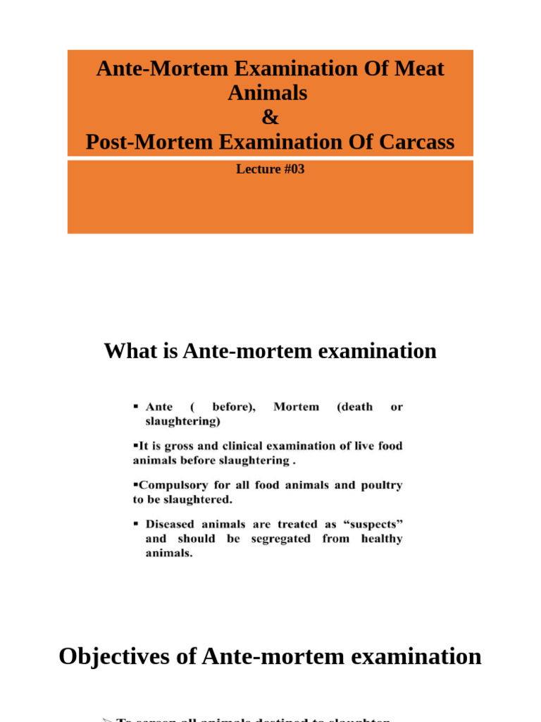 Ante-Mortem Examination of Meat Animals | PDF