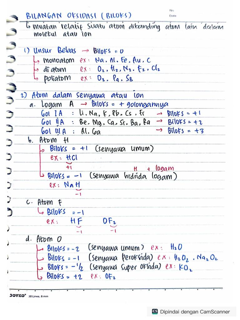 Biloks DSN Redoks | PDF