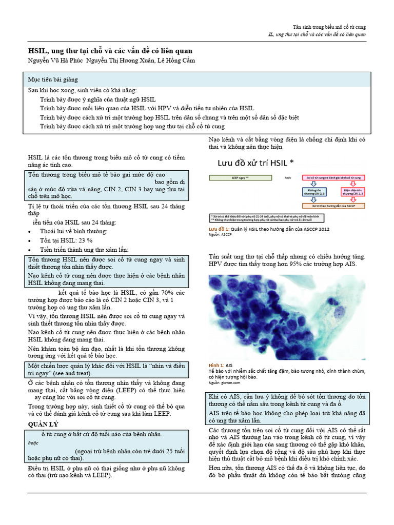 HSIL | PDF