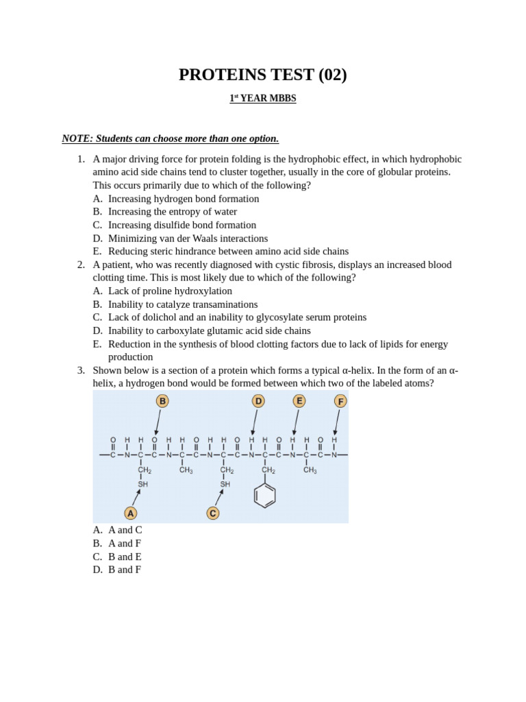 Proteins Test New First Year | PDF | Amino Acid | Hemoglobin