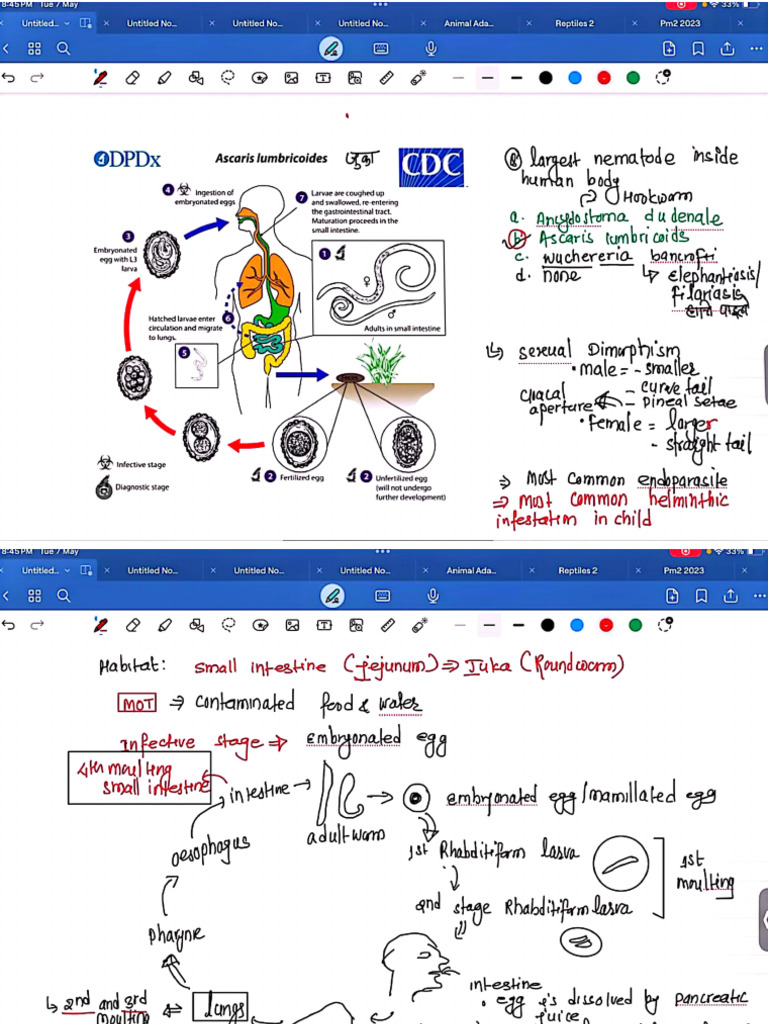 Aschelminthes Lec-2 | PDF