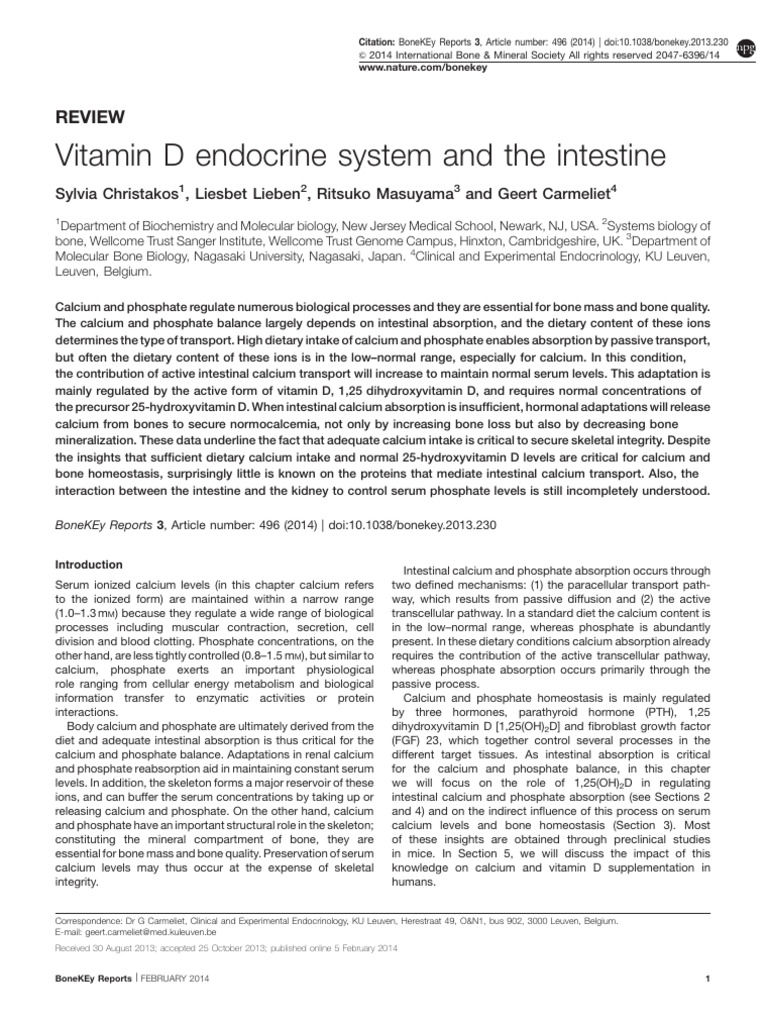 2014 - NATURE - Vitamin D Endocrine System and The Intestine | PDF ...