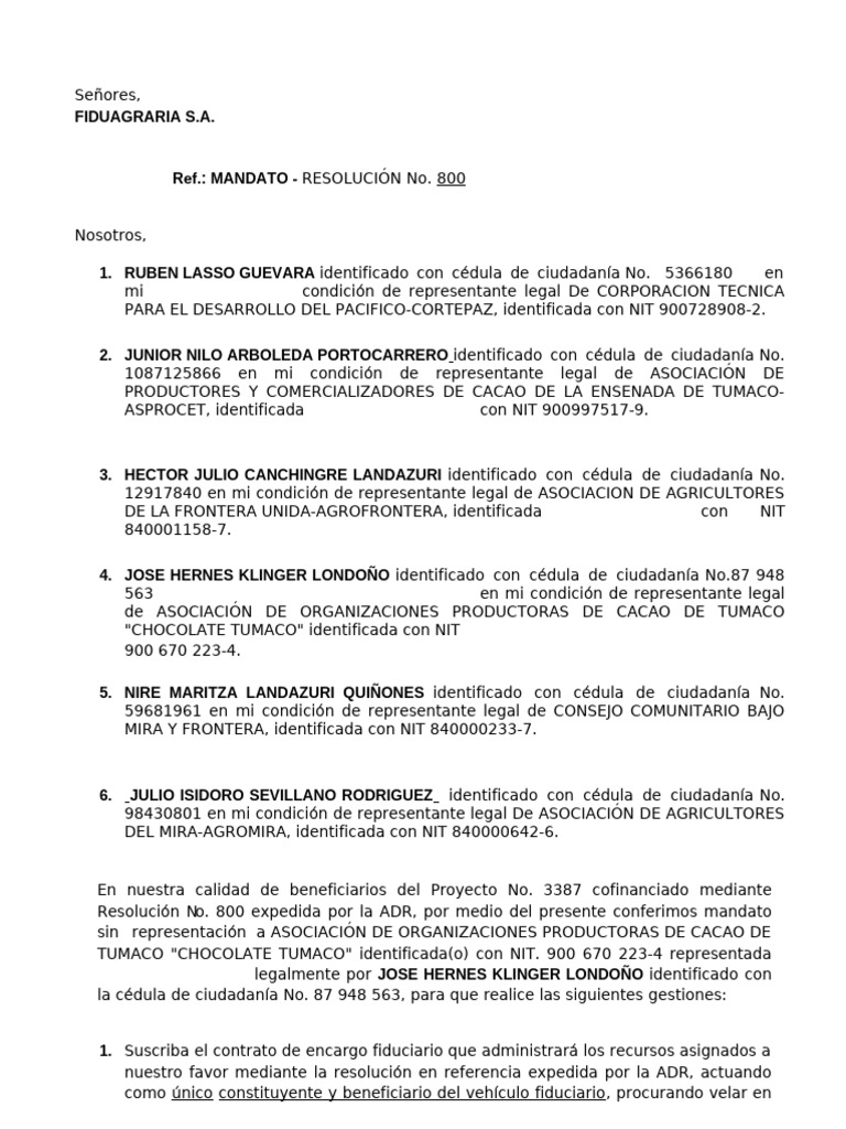 Modelo Poder Mandato Adr | PDF