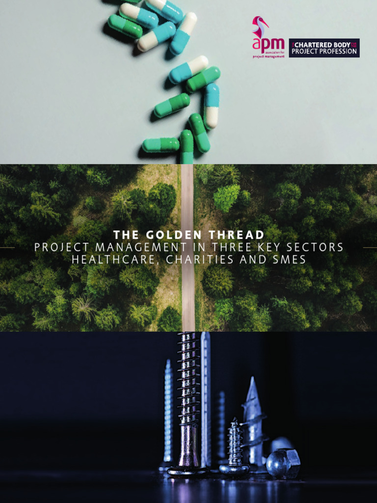 3 - 4.2 APM Golden Thread Report 2020 Project Adoption 3 Sectors | PDF