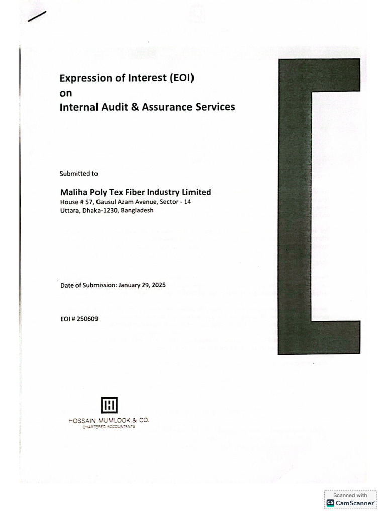 (EOI) On Internal Audit & Assurance Serv | PDF